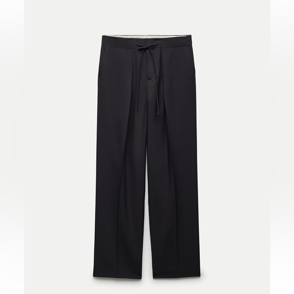 Zara | Pants & Jumpsuits | Zara Pleated Pants Zw Collection Size M ...
